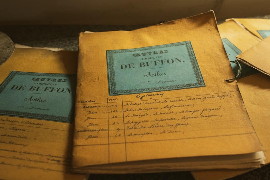 Search Public Records: Easy 2025 Guide